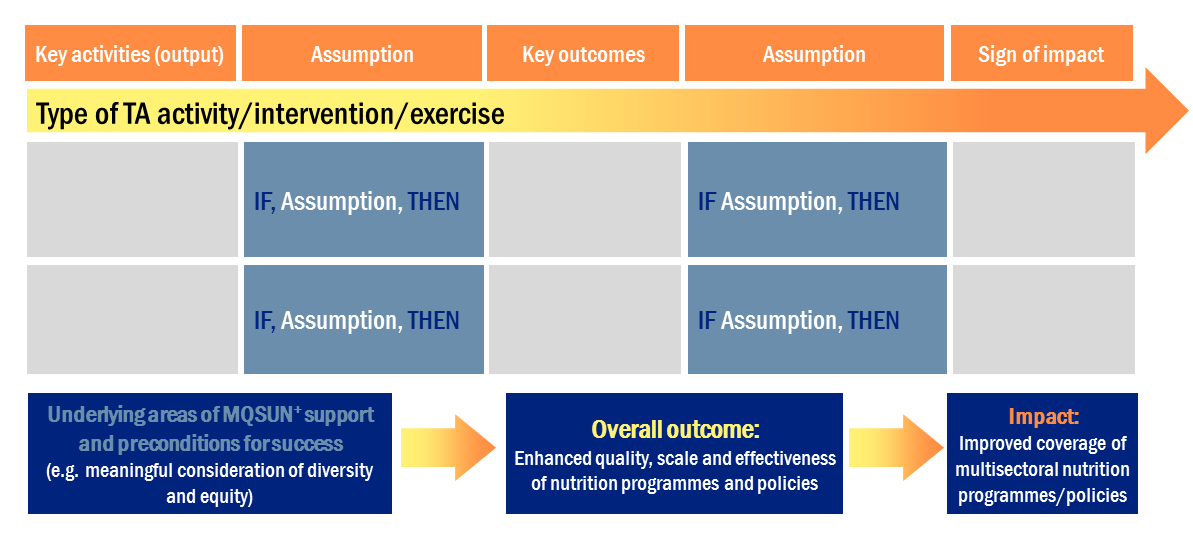 Moving beyond a theory of change—mapping assumptions toward nutrition ...